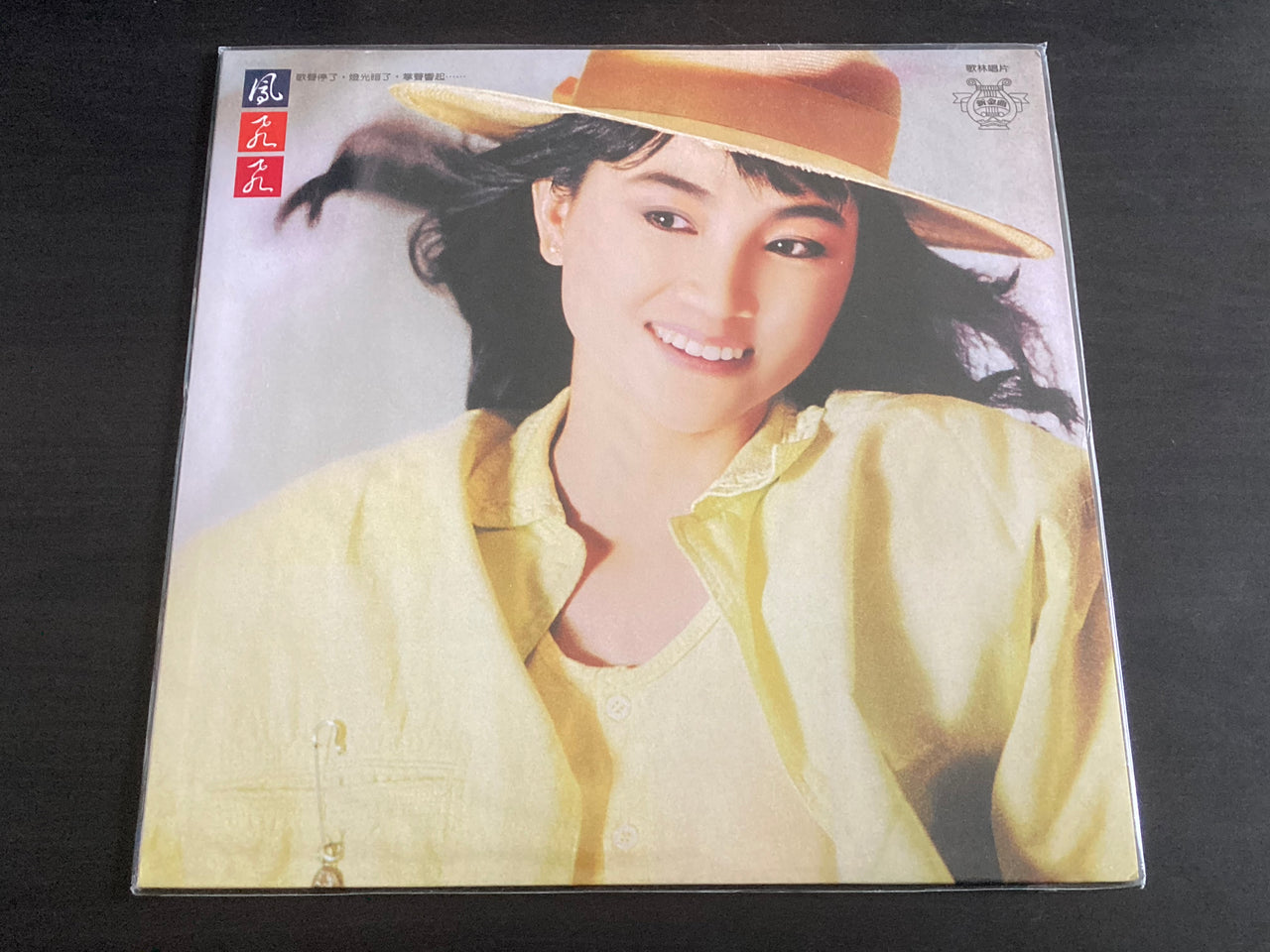 Feng Fei Fei / 鳳飛飛 - 掌聲響起 LP – NEONMUSIC
